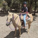 Las Vegas Horseback Riding Adventure in Mountain - Value for Money