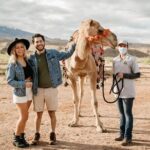 Las Vegas Safari Tram Ride and Zoo Tour at Camel Safari - Authentic Encounters and Animal Care