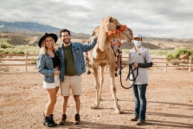 Las Vegas Safari Tram Ride and Zoo Tour at Camel Safari - Authentic Encounters and Animal Care