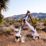Las Vegas Scenic Wedding Ceremonies - What We Love About This Wedding Experience