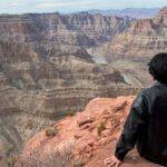 Las Vegas: West Rim, Hoover Dam, Joshua Tree, Welcome Sign - Who Is This Tour Best Suited For?