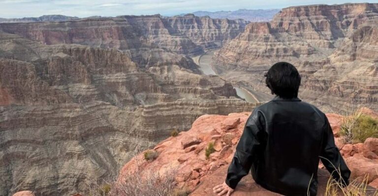 Las Vegas: West Rim, Hoover Dam, Joshua Tree, Welcome Sign - Who Is This Tour Best Suited For?