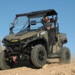 Las Vegas Zoo and UTV Tour With RT Transportation - The Experience Breakdown: What to Expect from This Tour