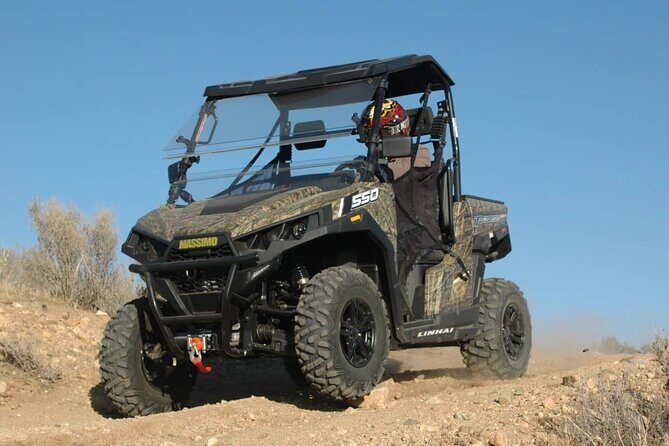 Las Vegas Zoo and UTV Tour With RT Transportation - The Experience Breakdown: What to Expect from This Tour