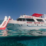 Latchi: Blue Lagoon Glass Bottom Boat Cruise with Drinks - The Itinerary in Detail
