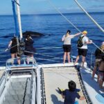 Late Morning Whale Watch Cruise from A'bay - The Itinerary: What to Expect