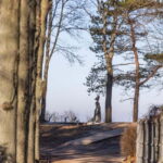 Latvian Landscapes: Kemeri & Jurmala Guided Tour - Pricing and Value