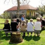 Laura Plantation Tour - The Sum Up