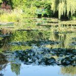 Le Havre Shore Excursion: Private Tour of Giverny, Rouen and Honfleur - Practical Details and Value