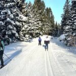 Learn Nordic Skiing - Private Class with Professional Instructor - Equipment and Preparation