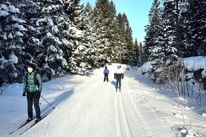 Learn Nordic Skiing - Private Class with Professional Instructor - Equipment and Preparation