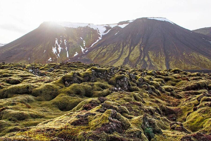 Leidarendi Cave: Lava Tunnel Caving from Reykjavik - Authentic Traveler Insights