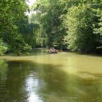 Leipzig: Riverside Forest Tour on the Pleiße - What the Tour Includes and Excludes