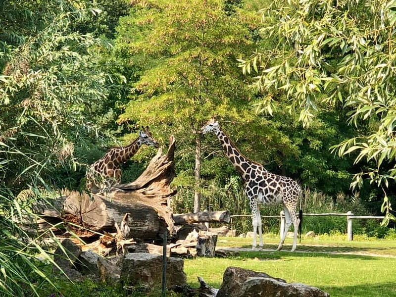 Leipzig: Segway Tour - Explore City, Zoo & a Stunning View - The Itinerary in Detail