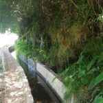 Levada Serra D´Agua - Who Will Love This Tour?