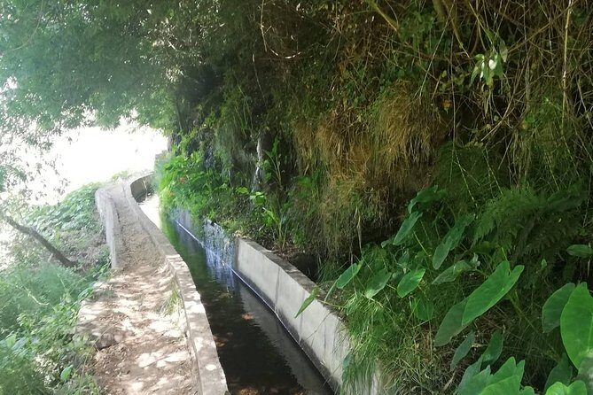 Levada Serra D´Agua - Who Will Love This Tour?