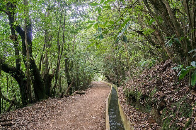 Levada Walk from Ribeiro Frio to Portela - The Practicalities: What’s Included and What’s Not