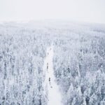 Levi: 15-Kilometres Self-Driving Husky Tour - Shared Experiences and Honest Feedback