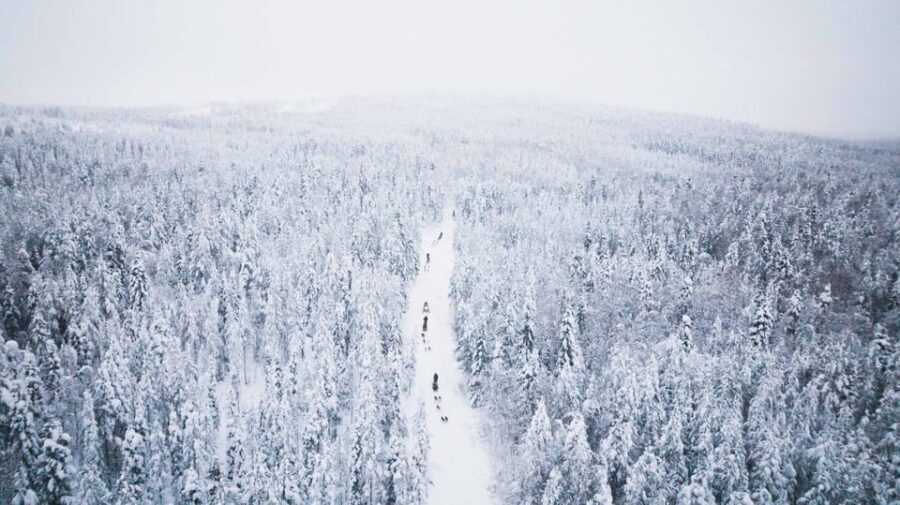 Levi: 15-Kilometres Self-Driving Husky Tour - Shared Experiences and Honest Feedback