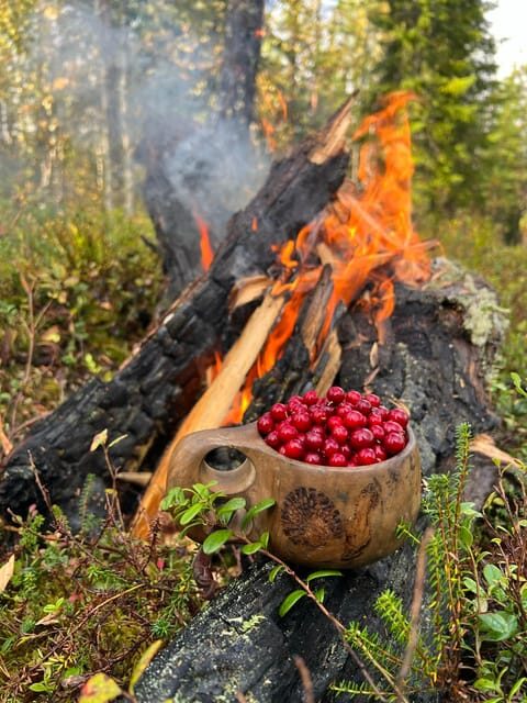 Levi: Autumn Hike and Reindeer Farm Visit - Frequently Asked Questions