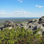 Levi: Fell Summit Tour with Mindfulness and Gondola Ride - The Sum Up