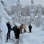 Levi: Lakeside forest snowshoeing - Final Thoughts: Who’s This Tour Best For?