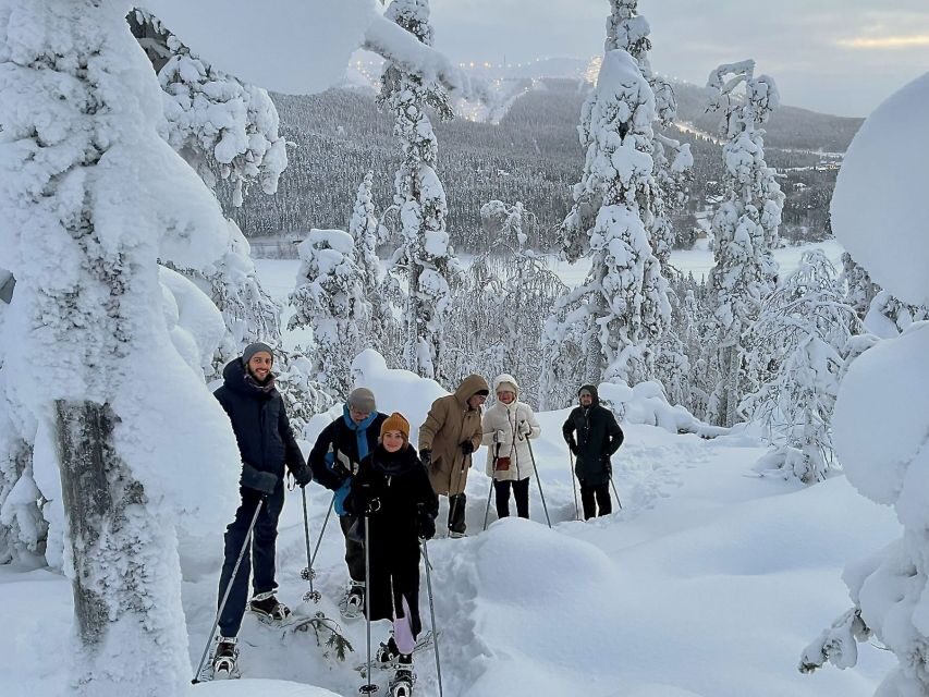 Levi: Lakeside forest snowshoeing - Final Thoughts: Who’s This Tour Best For?