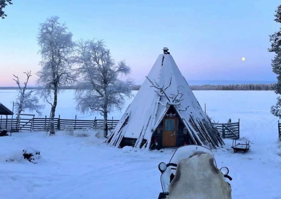 Levi: Lapland Reindeer Safari - An in-Depth Look at the Levi Reindeer Safari