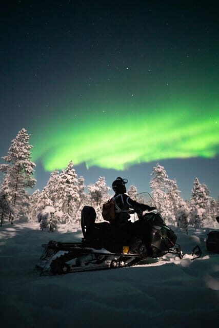 Levi: Northern Lights Sledge Ride - The Authenticity and Experience
