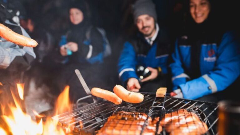 Levi: Northern Lights Snowmobile Tour with Snacks and Drinks - What to Expect on the Tour