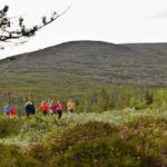 Levi: Pallas Panoramic Hike - Why This Tour Offers Good Value