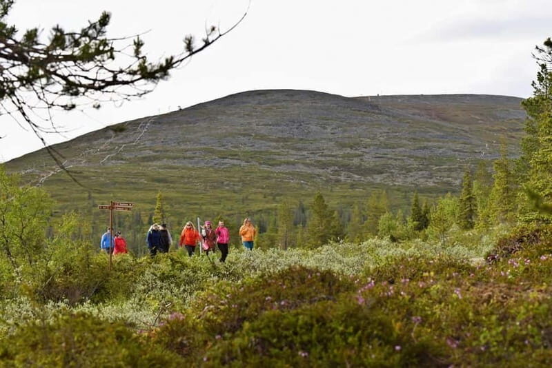 Levi: Pallas Panoramic Hike - Why This Tour Offers Good Value