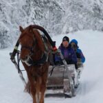 Levi, Polar Lights Tours: One Horse Open Sleigh Ride - The Itinerary in Detail