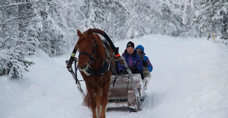 Levi, Polar Lights Tours: One Horse Open Sleigh Ride - The Itinerary in Detail