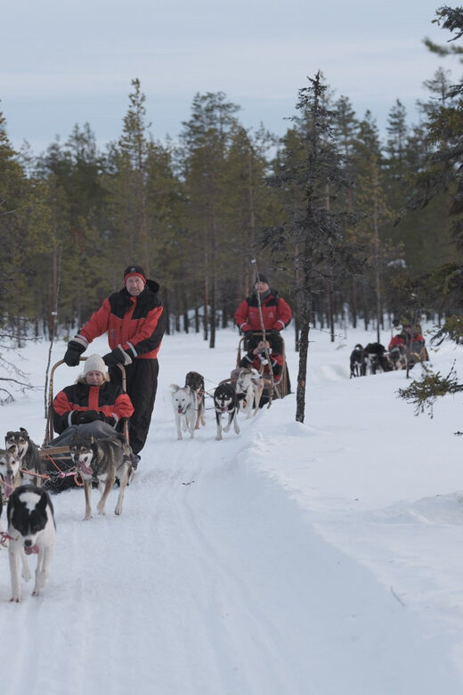 Levi Polar Lights Tours: Path of the Gnome Husky Safari 15km - Final Thoughts