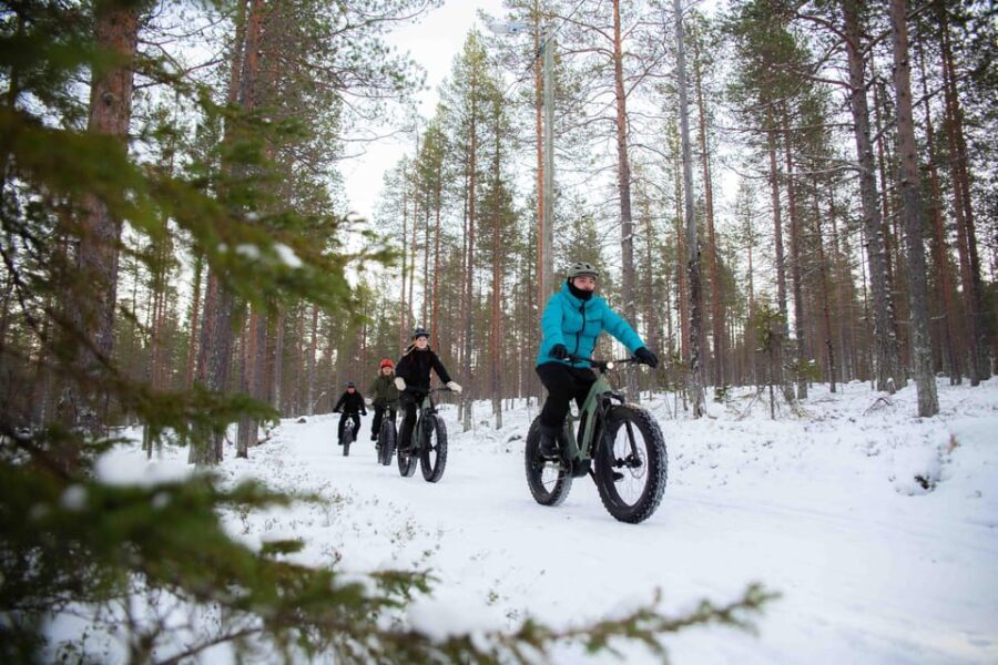 Levi: Reindeer Farm E-Fatbike Safari - Visiting the Reindeer Farm