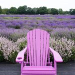 Lewin Farms, Lavender By The Bay and Tanger Outlets Full-Day Tour - What Travelers Can Expect at Each Stop