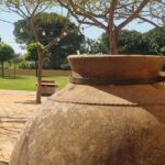 Lisbon Wine Tour: Azeitao, Setubal and Arrabida and Hotel Pickup - Details that Matter for the Modern Traveler