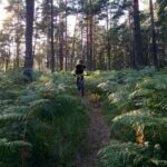 Ljubljana: City Center and Golovec Trails Mountain Bike Tour - Key Highlights of the Tour