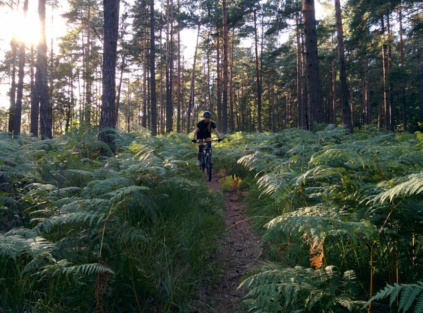Ljubljana: City Center and Golovec Trails Mountain Bike Tour - Key Highlights of the Tour