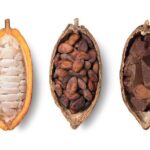 Local Swiss Chocolate Tasting - What Travelers Are Saying