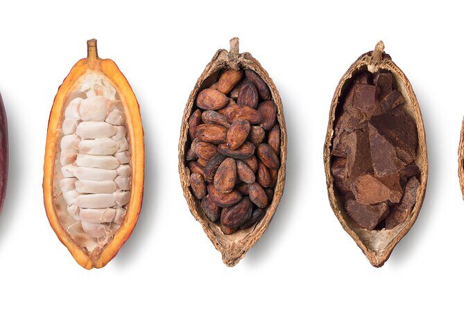 Local Swiss Chocolate Tasting - What Travelers Are Saying