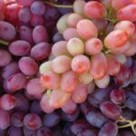 Lodi: Wine Tasting Tour Private Customized 1 -14 Group - Who Would Love This Tour?