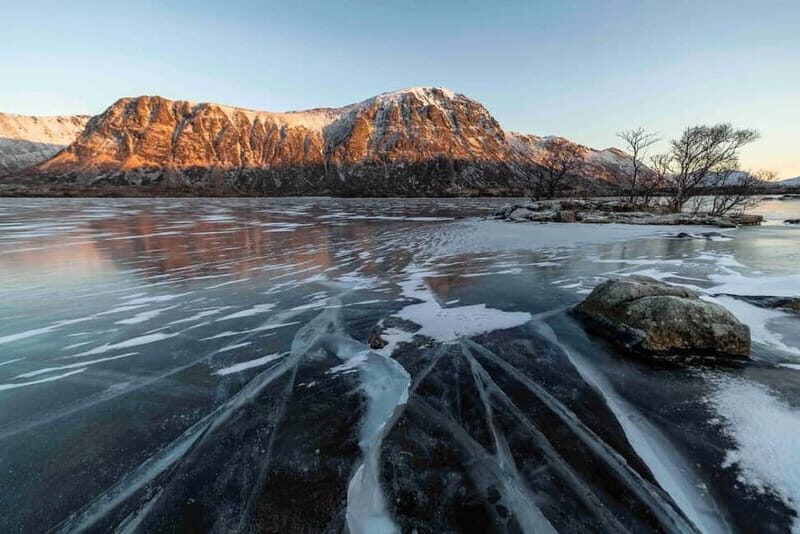 Lofoten: Half-Day Guided Tour with Photo Stops - The Balance of Cost and Experience