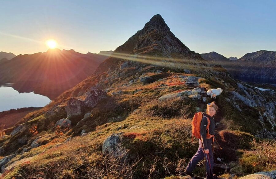 Lofoten Islands: Guided Hiking Into the Wilderness - Uphill - Who Will Love This Tour?