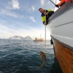 Lofoten: Traditional Fishing Trip - Who Is This Tour Ideal For?