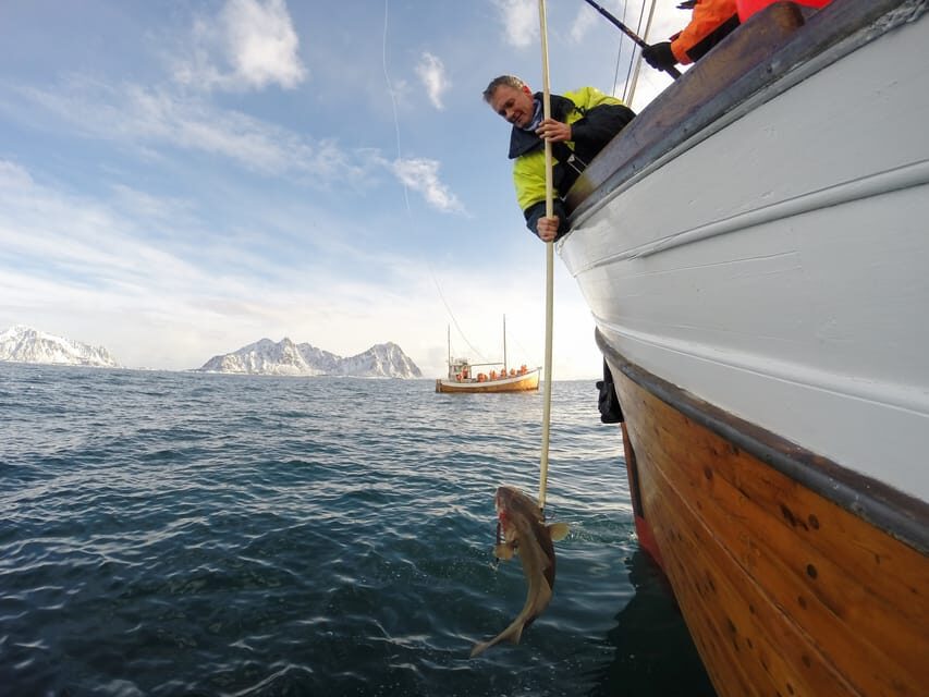 Lofoten: Traditional Fishing Trip - Who Is This Tour Ideal For?