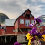 Lofoten VIP PRIVATE Tour from Leknes city / port - Detailed Breakdown of the Itinerary