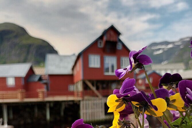 Lofoten VIP PRIVATE Tour from Leknes city / port - Detailed Breakdown of the Itinerary