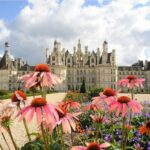Loire Valley Most Visited Castles Private Tour from Tours or Amboise - What Makes This Tour Stand Out?